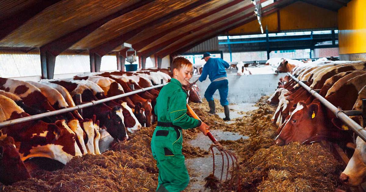 Qualité ferme | Afrique de l'Ouest